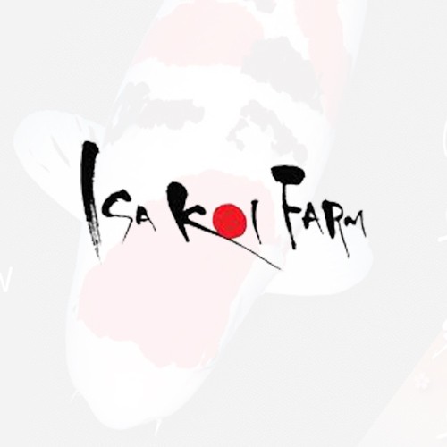 ไปโค่ยฟาร์ม ฟาร์มปลาคาร์ฟ พร้อม Certificate จากญี่ปุ่น 100%