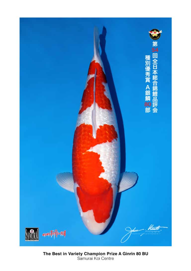 27 สายพันธุ์ปลาคราฟ พร้อมจุดเด่นที่คุณอาจยังไม่รู้