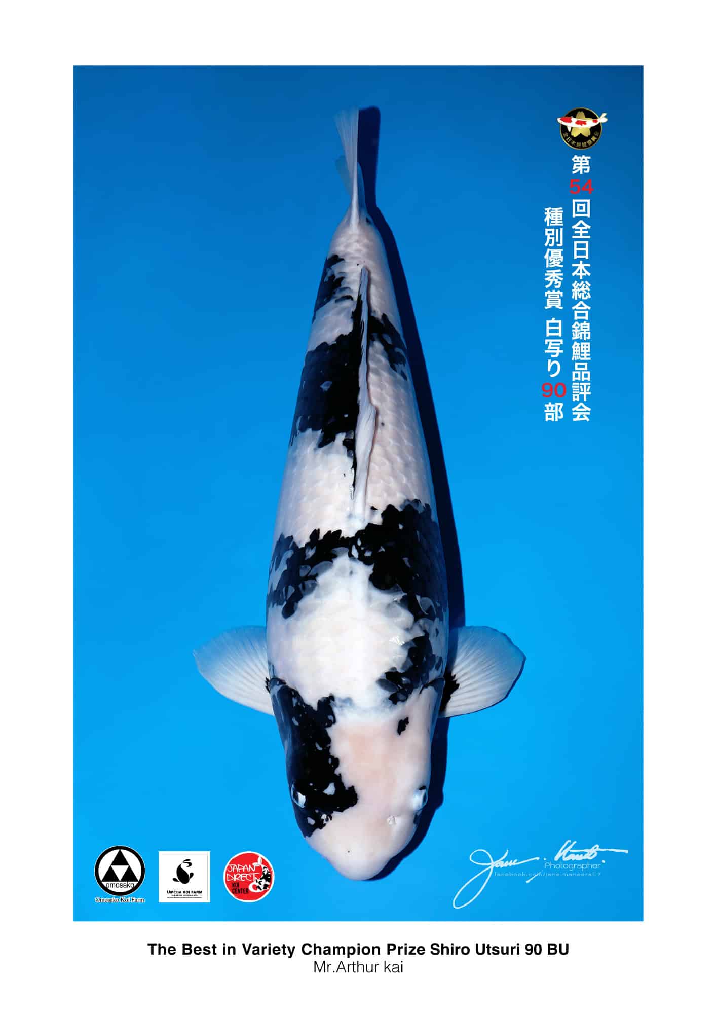 27 สายพันธุ์ปลาคราฟ พร้อมจุดเด่นที่คุณอาจยังไม่รู้