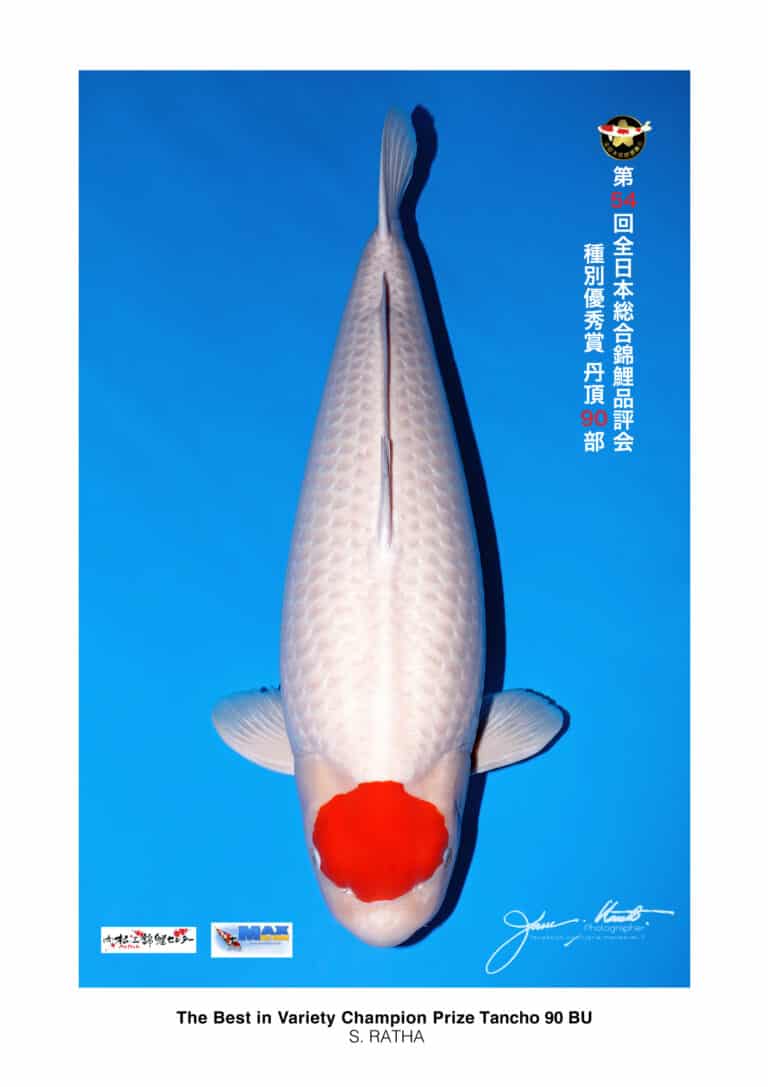 27 สายพันธุ์ปลาคราฟ พร้อมจุดเด่นที่คุณอาจยังไม่รู้